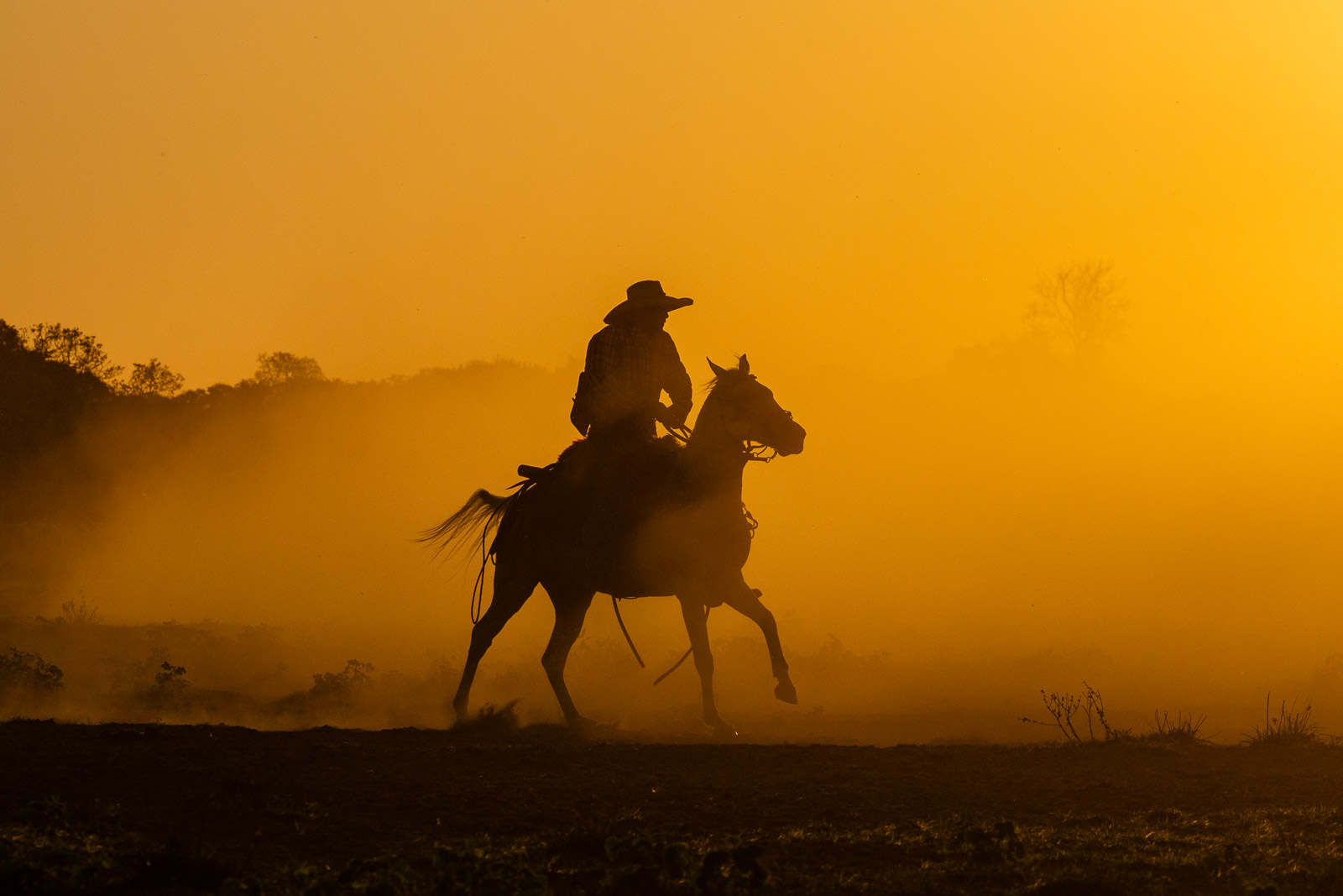 Buy Pantaneiro Cowboy – Fine Art Print from Brazil’s Pantanal | Goeddel ...